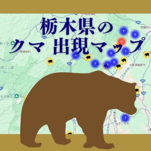 栃木県の熊(クマ)の出現・目撃情報マップはここで確認できます！熊よけアプリや対策グッツも紹介 - とちぎびより