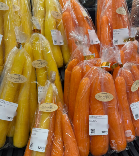 【訪問レポあり】「道の駅みぶ」農産物直売所とスイーツ店がリニューアルオープン！4月には物販・飲食施設もオープン予定｜壬生町 - とちぎびより